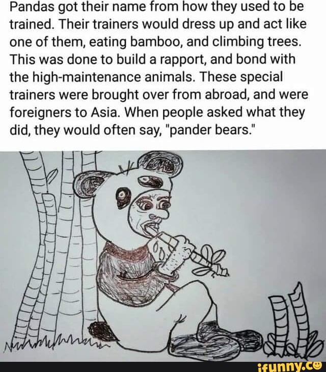 Bamboo memes. Best Collection of funny Bamboo pictures on iFunny