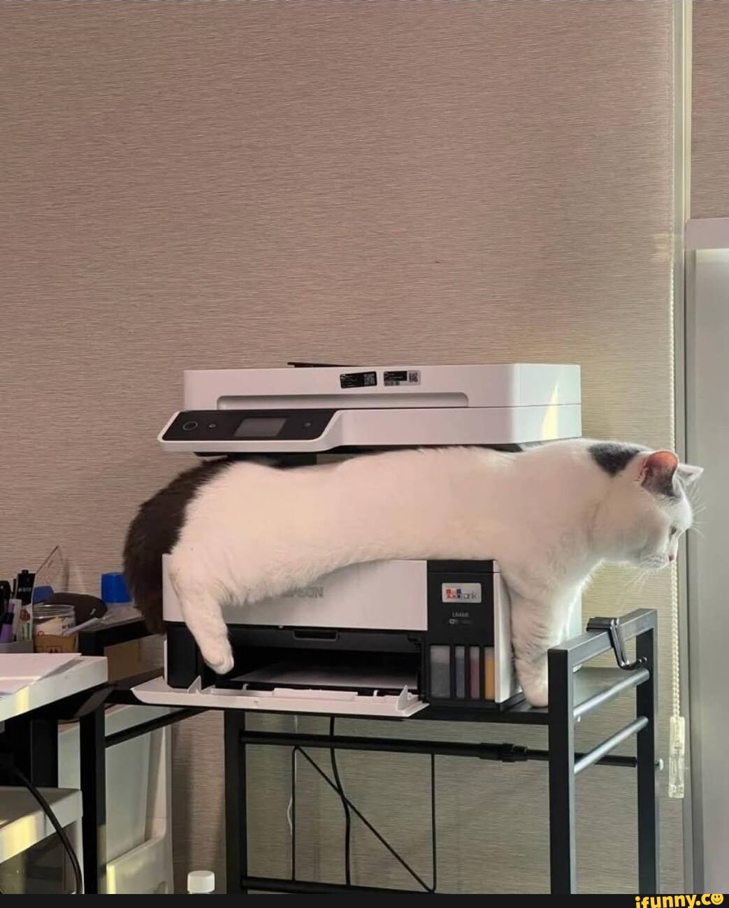 Printer memes. Best Collection of funny Printer pictures on iFunny