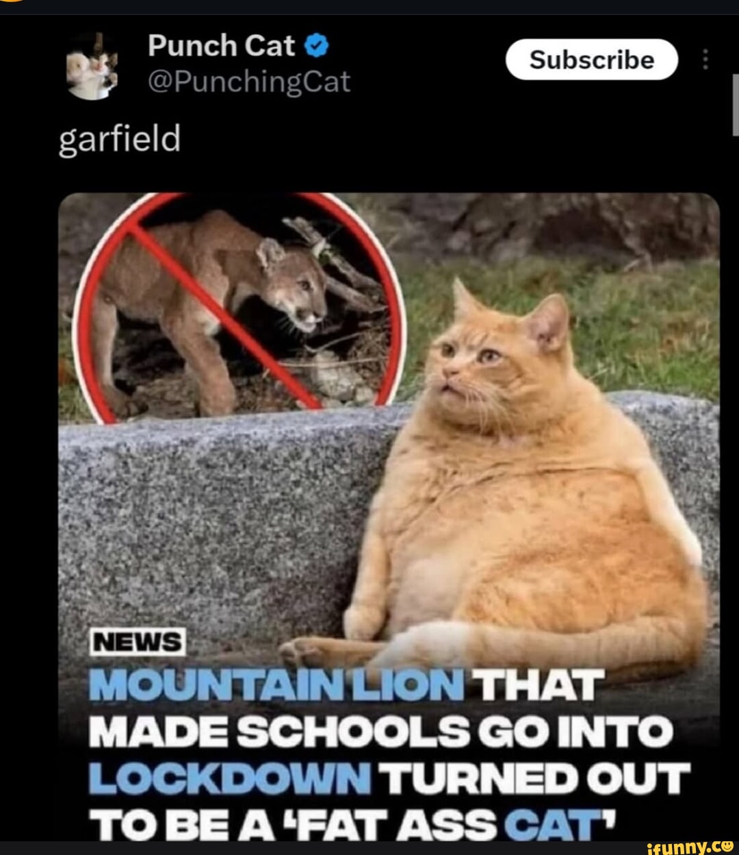Punch Cat @ @PunchingCat Sub b garfield THAT TURNED OUT MADE SCHOOLS ...