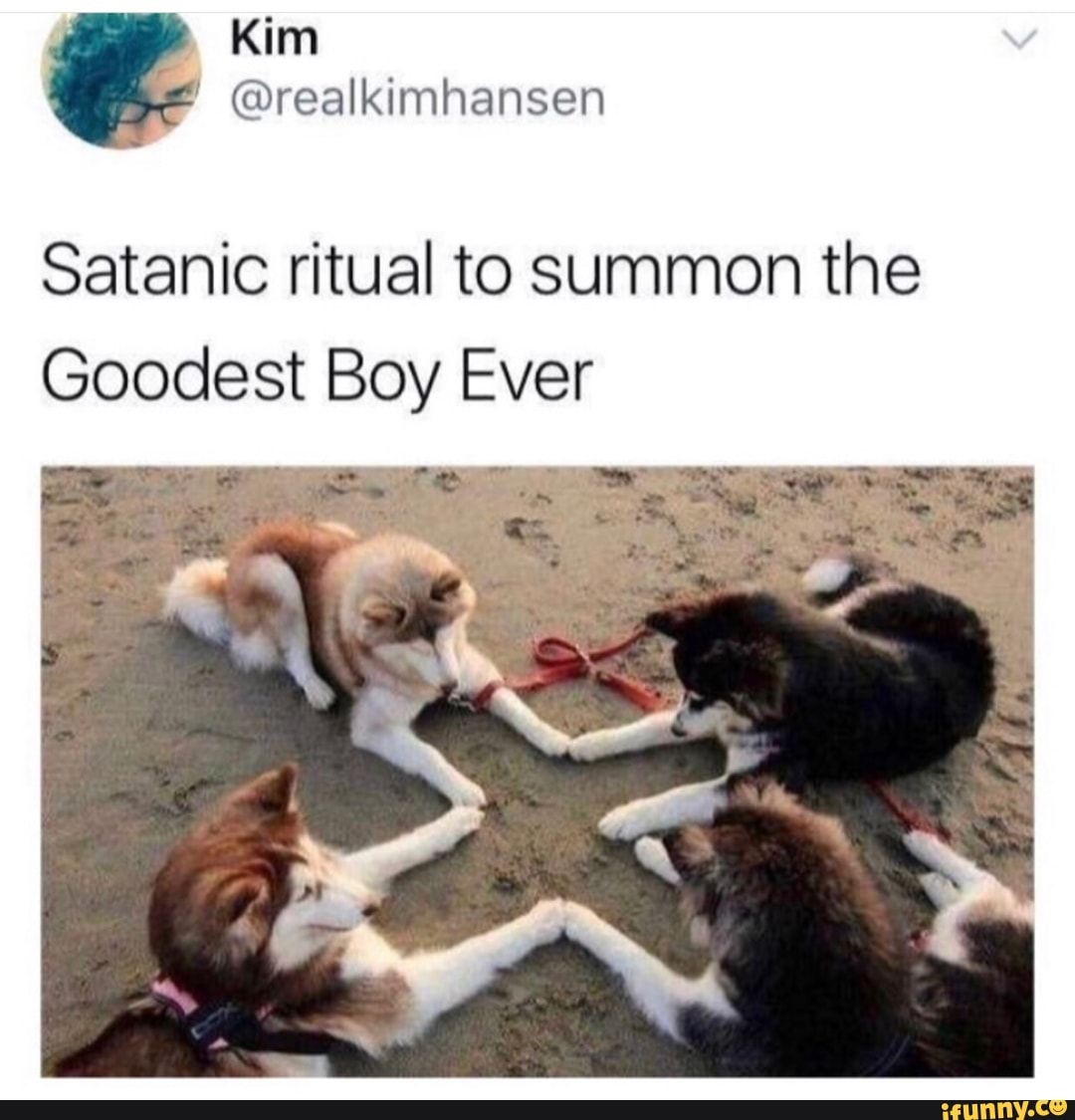 Satanic ritual to summon the Goodest Boy Ever - iFunny