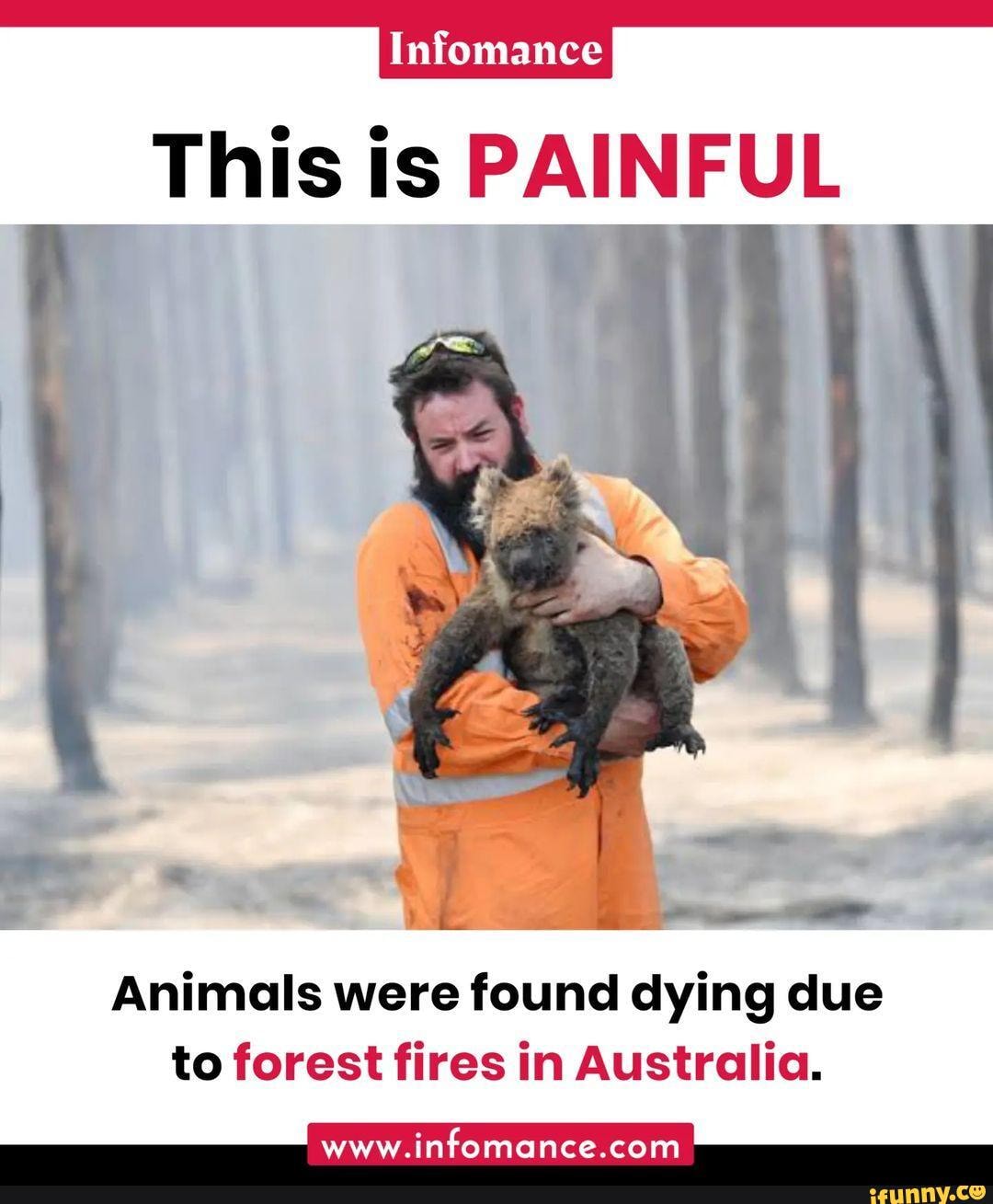 Bushfires memes. Best Collection of funny Bushfires pictures on iFunny