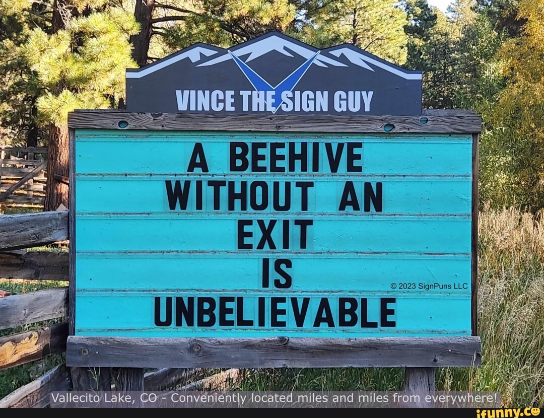 "A BEEHIVE WITHOUT AN 2023 SignPuns UNBELIEVABLE Vallecitty Lake, C ...