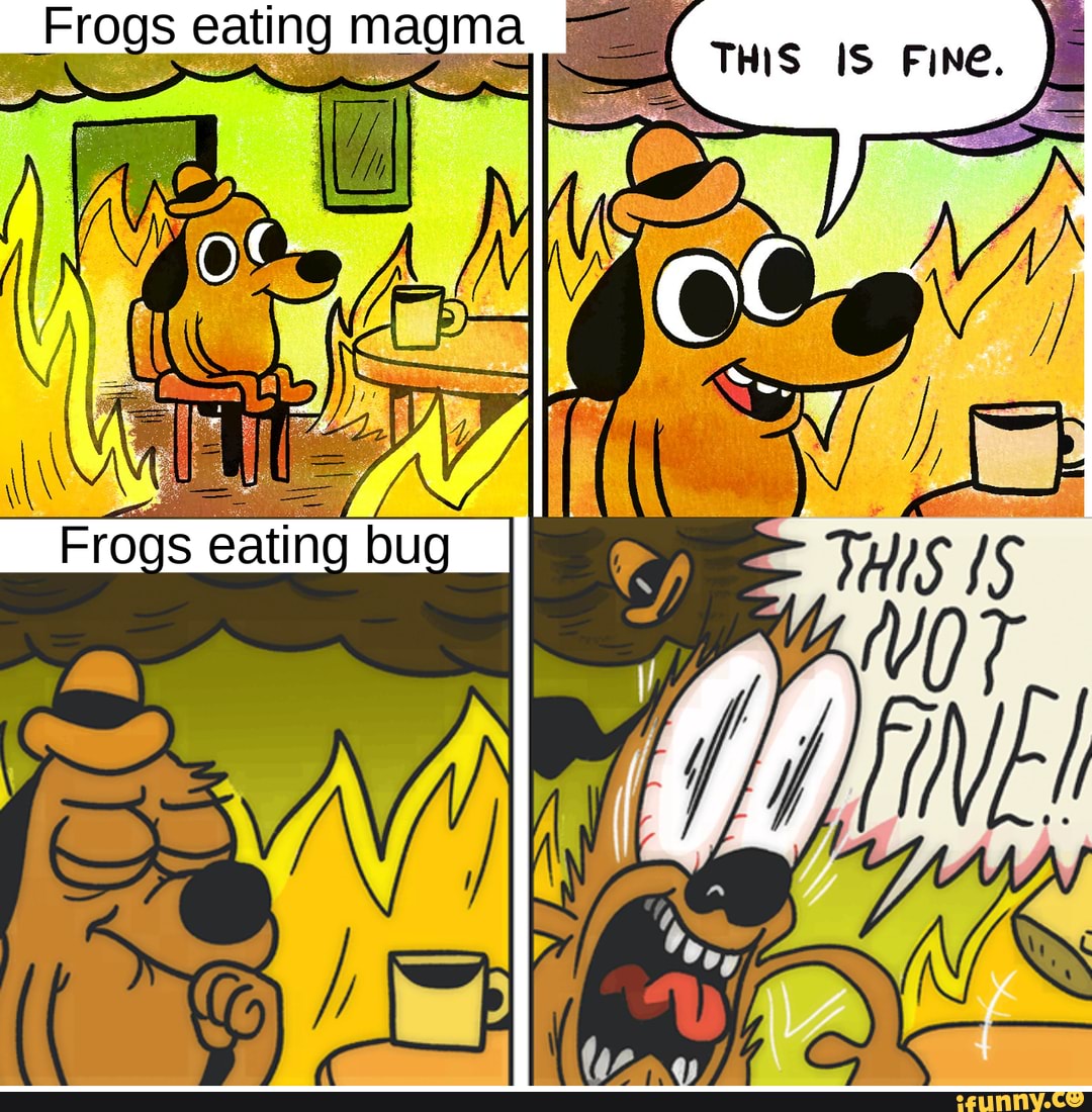 THIS IS FINe. Frogs eating ie gS eating bug I WA - iFunny
