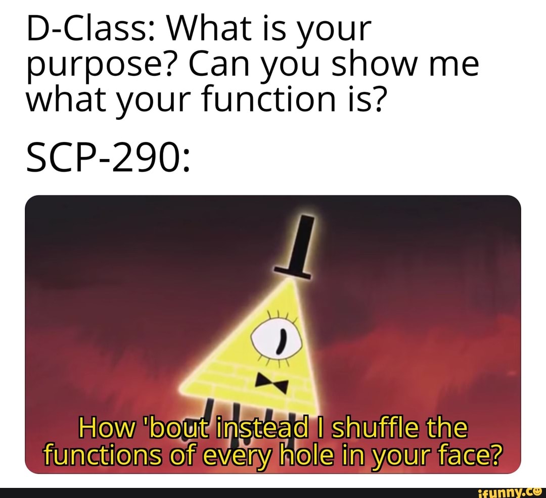 D-Class: What is your purpose? Can you show me what your function is ...