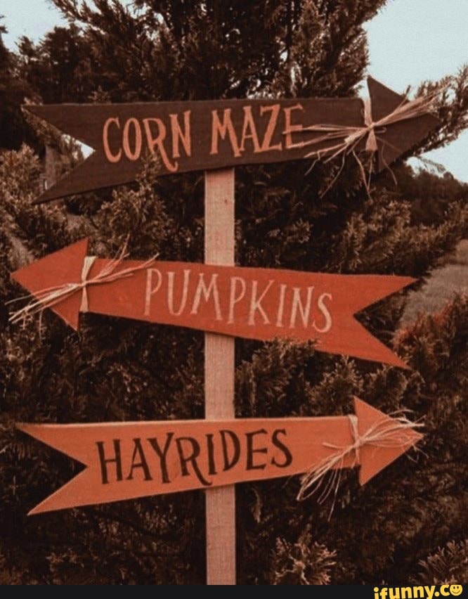 Farmaesthetic memes. Best Collection of funny Farmaesthetic pictures on ...