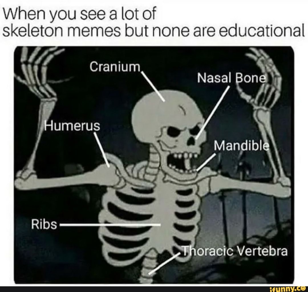 When you see lot of skeleton memes ut none are educational Cranium ...