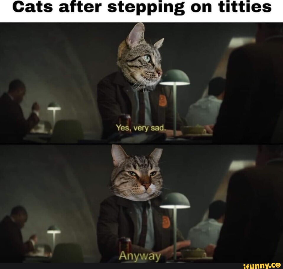 Cats after stepping on titties Yes, very sad. Anyway - iFunny