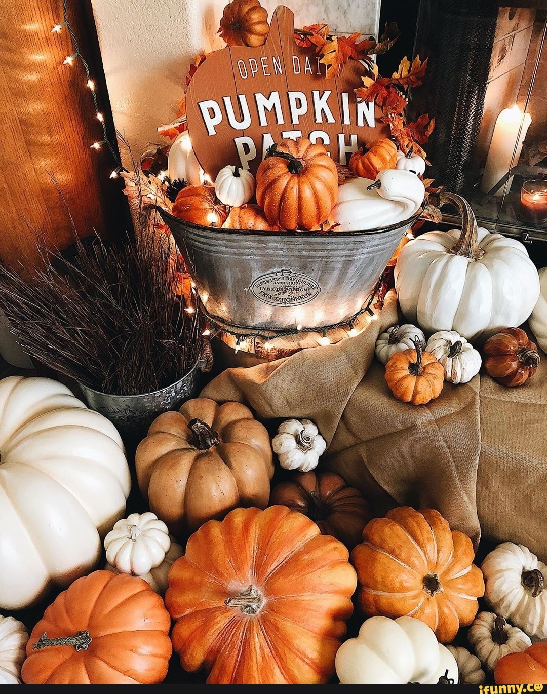 Pumpk memes. Best Collection of funny Pumpk pictures on iFunny