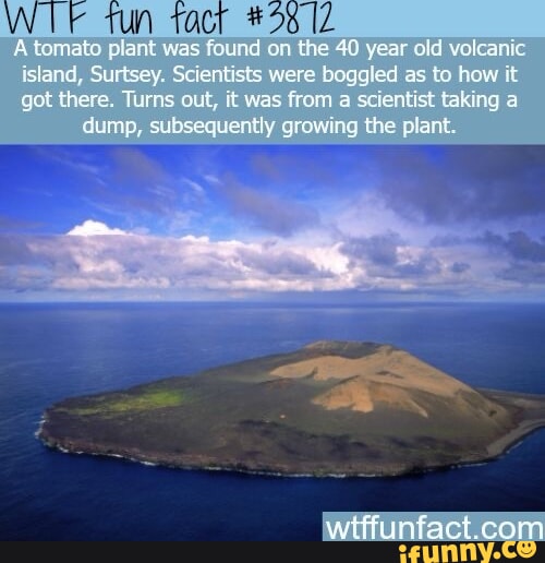 Tums memes. Best Collection of funny Tums pictures on iFunny