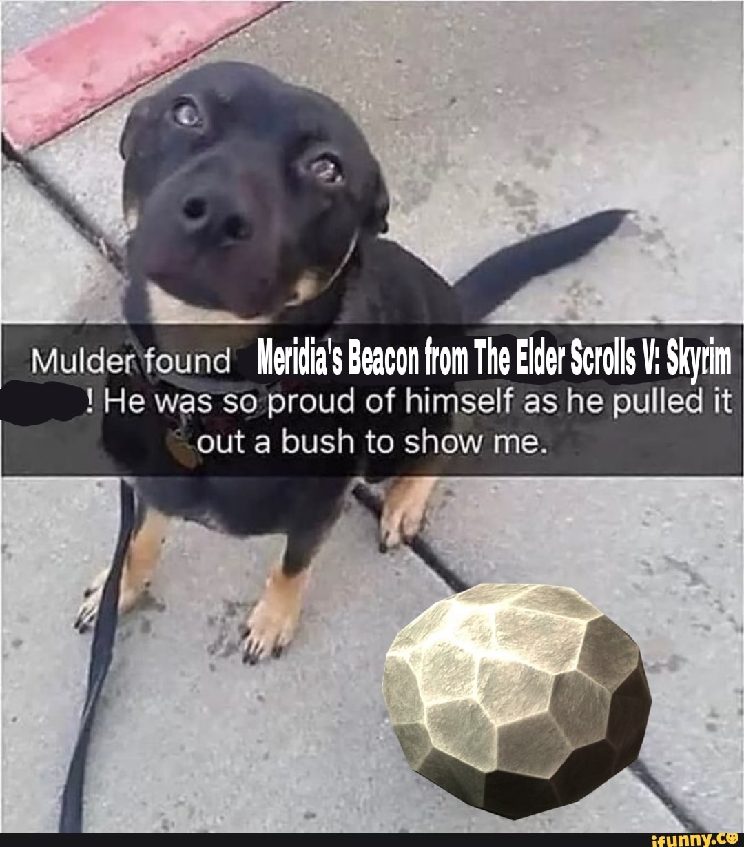 Mulderfound memes. Best Collection of funny Mulderfound pictures on iFunny