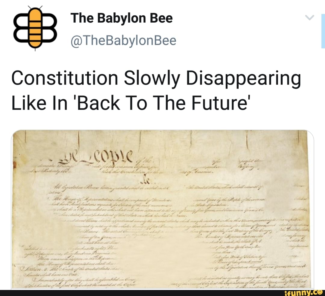 Constitution Slowly Disappearing Like In 'Back To The Future' - iFunny