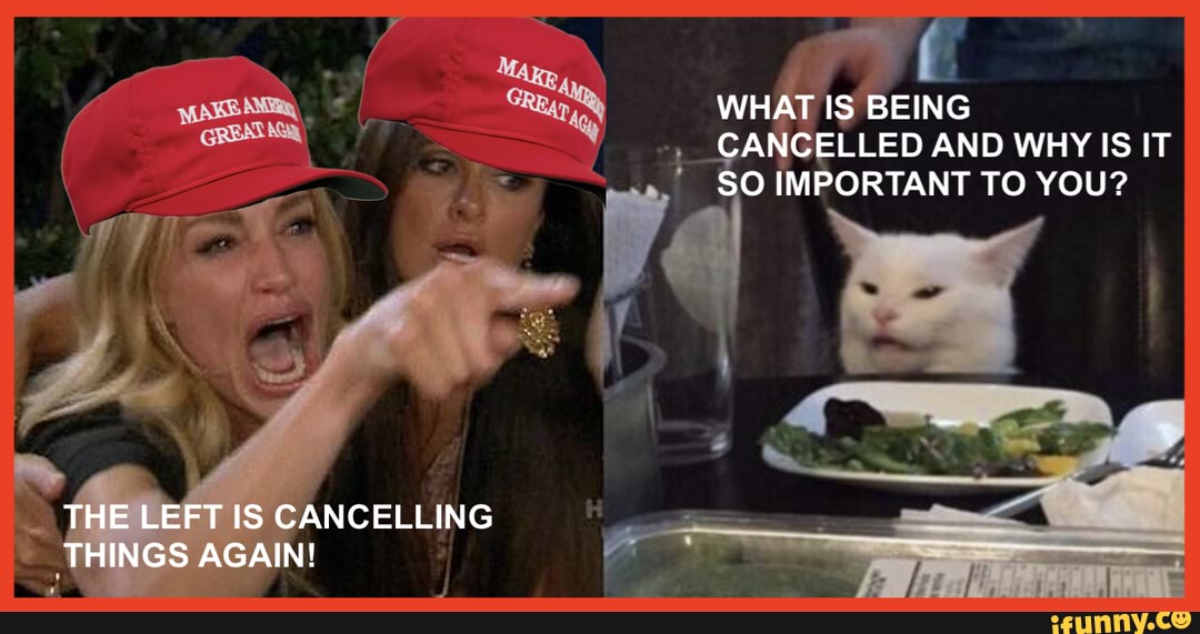 WHAT IS BEING CANCELLED AND WHY IS IT SO IMPORTANT TO YOU? LIN THE LEFT ...