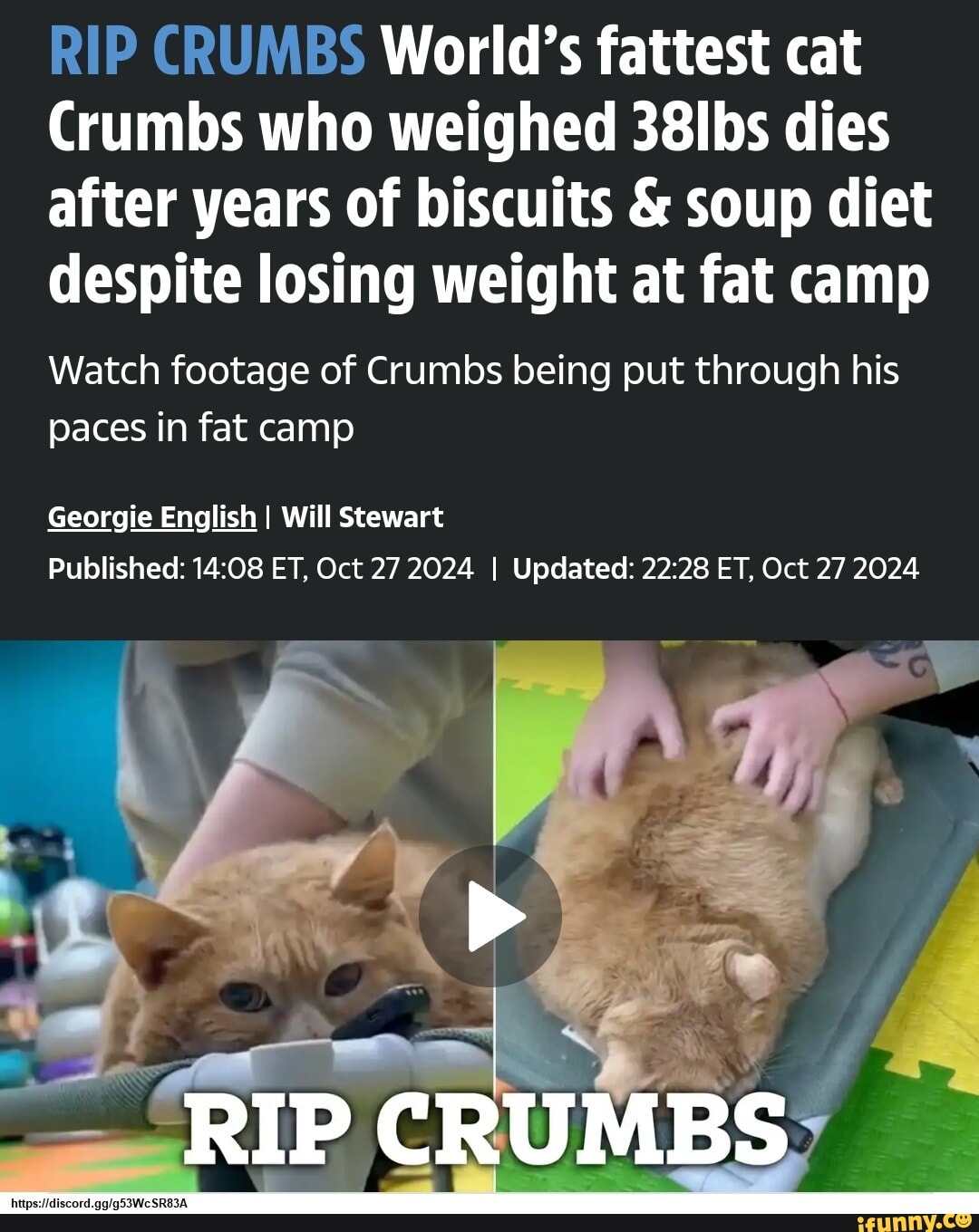 RIP CRUMBS World's fattest cat Crumbs who weighed 38lbs dies after ...
