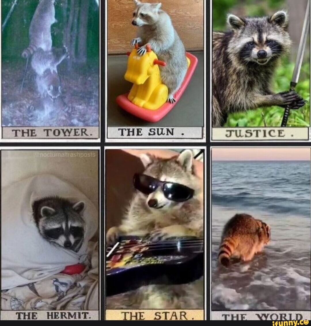 Hermit memes. Best Collection of funny Hermit pictures on iFunny