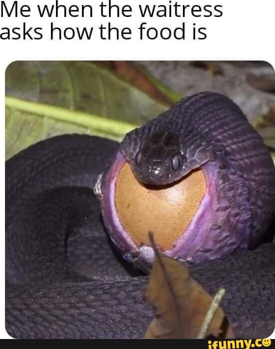 How to Wear a Plate Carrier A @cbrnart Basics Guide Introduction ...