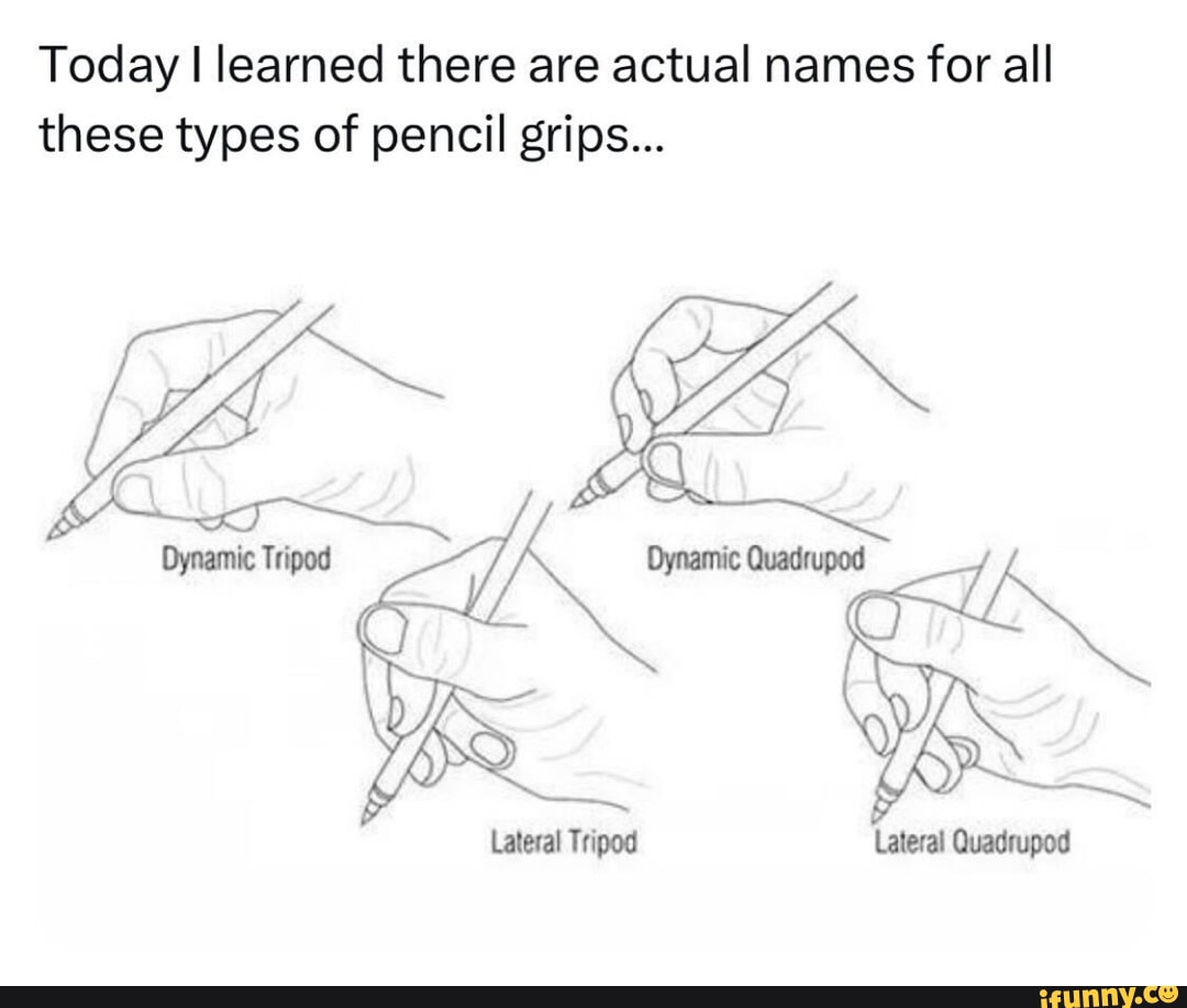 Video memes oOdNz2JC7 by officialmemeprime_2016: 0.9K comments - iFunny