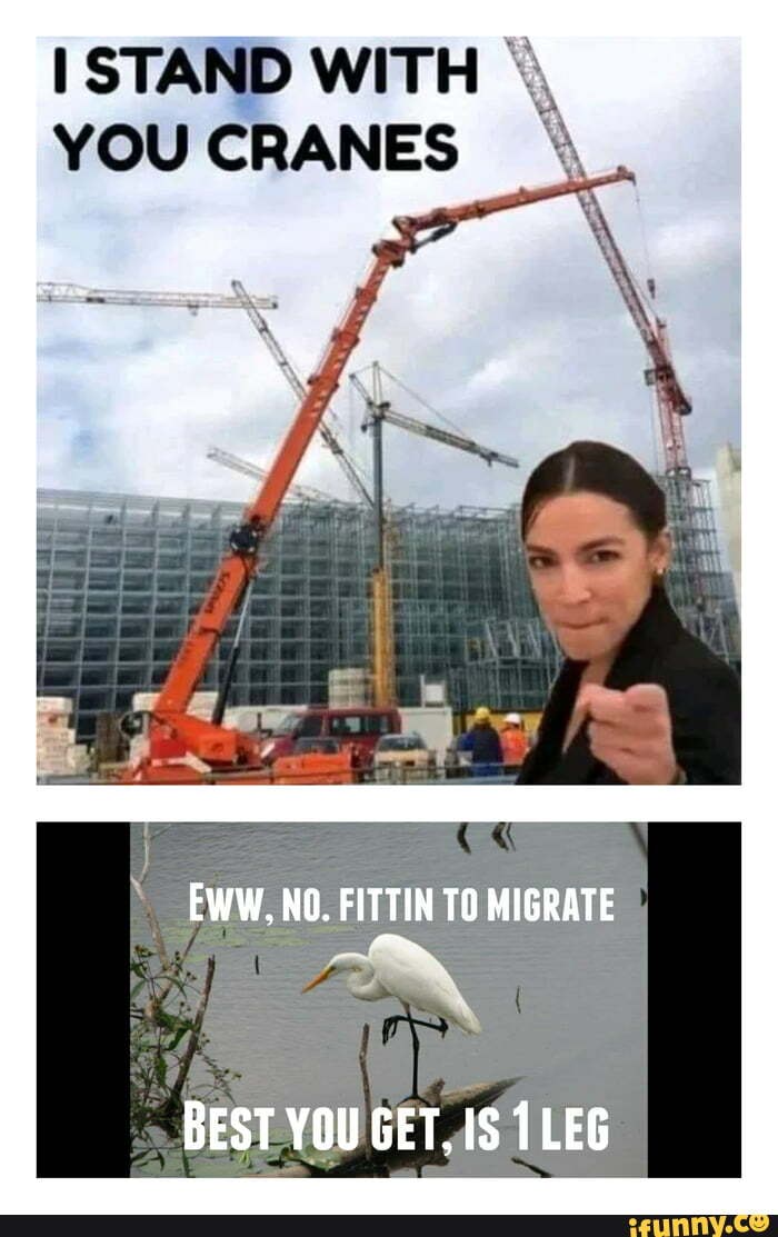Fozzy_bear memes. Best Collection of funny Fozzy_bear pictures on iFunny