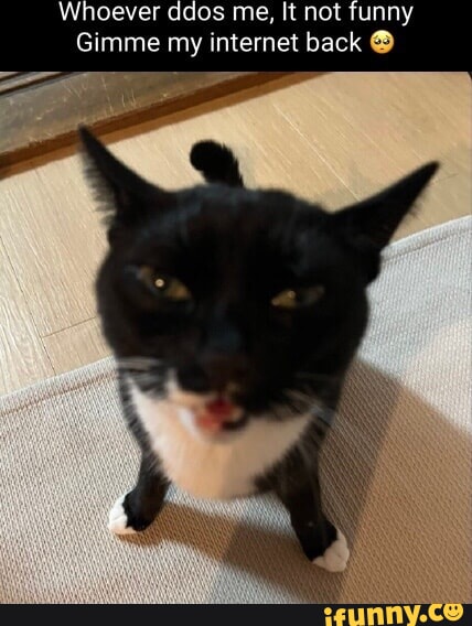 Ddos memes. Best Collection of funny Ddos pictures on iFunny