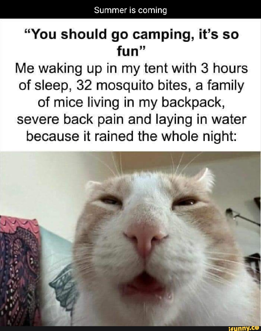 Camping memes. Best Collection of funny Camping pictures on iFunny