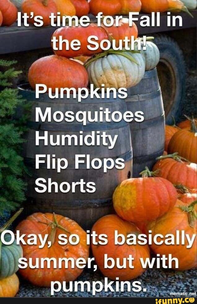 Humidity memes. Best Collection of funny Humidity pictures on iFunny