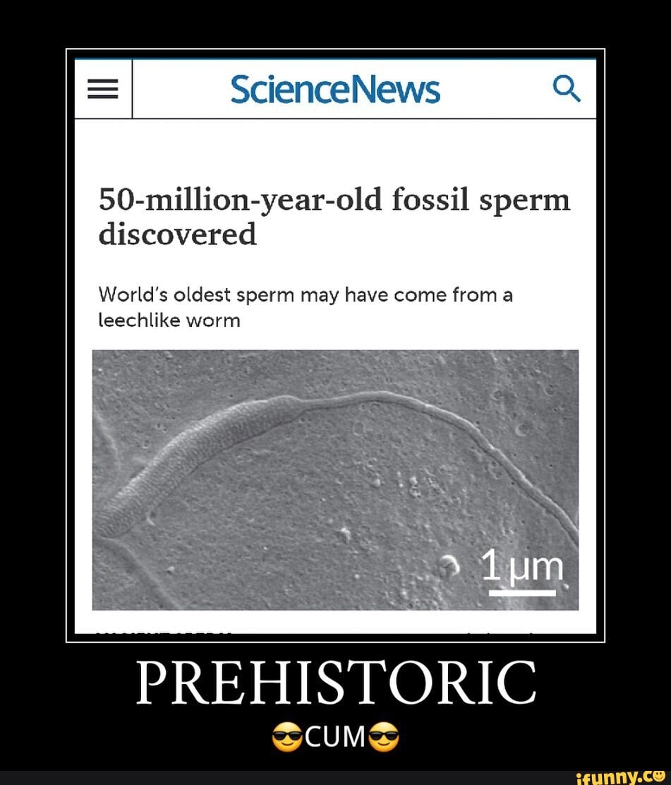 Sciencenews 50 Million Year Old Fossil Sperm Discovered Worlds Oldest