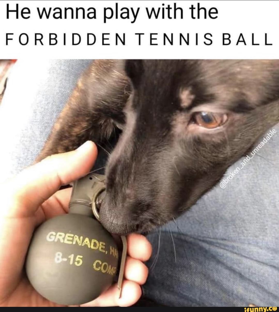 He wanna play with the FORBIDDEN TENNIS BALL - iFunny