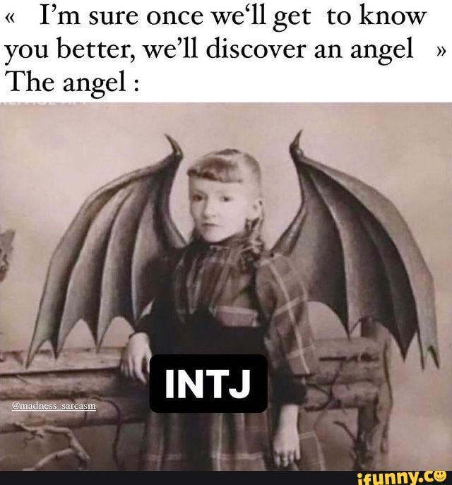 Intj memes. Best Collection of funny Intj pictures on iFunny