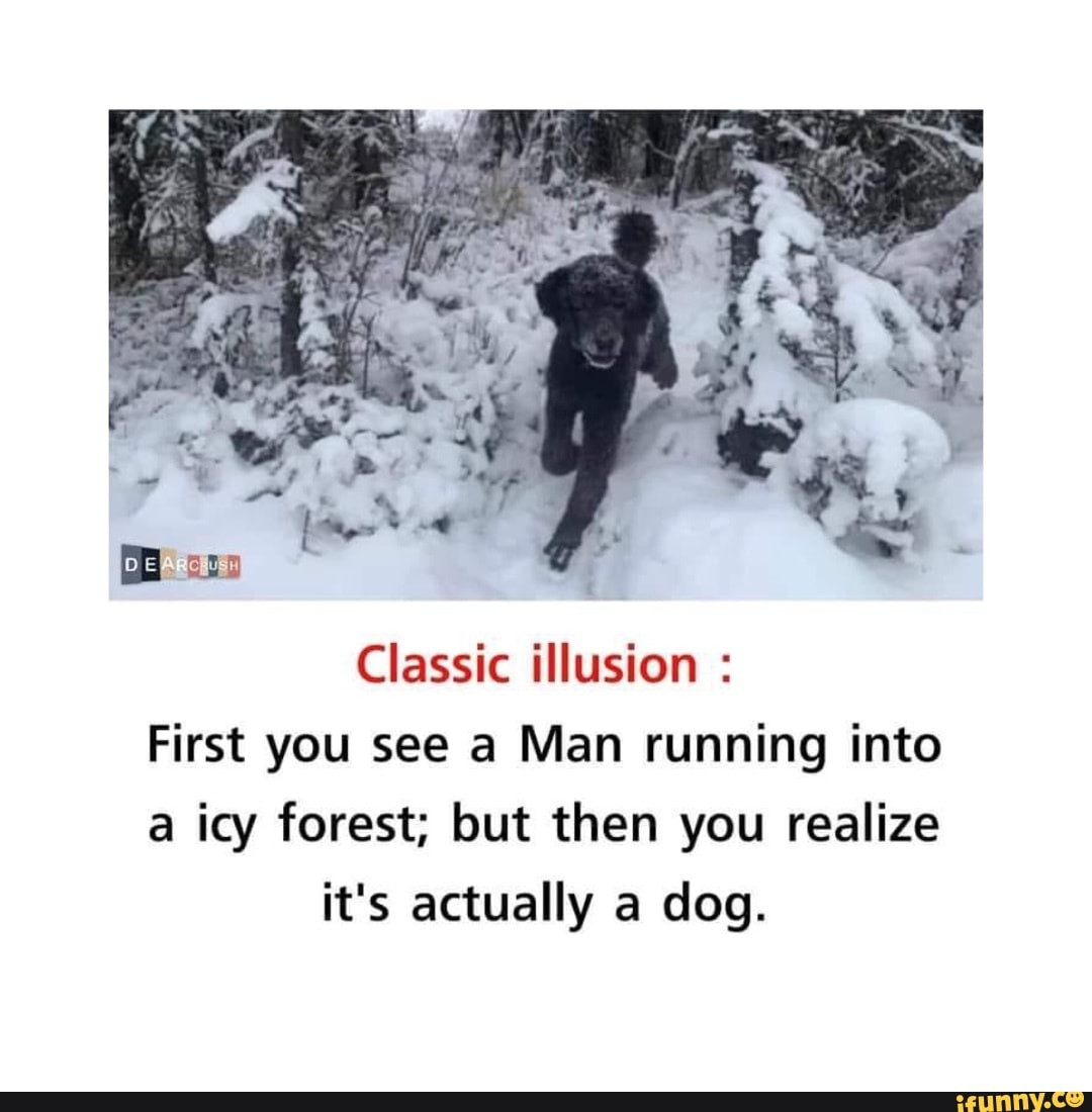 Classic illusion : First you see a Man running into a icy forest; but ...