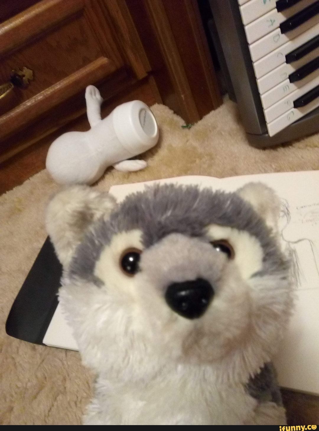 Vaginaboob memes. Best Collection of funny Vaginaboob pictures on iFunny