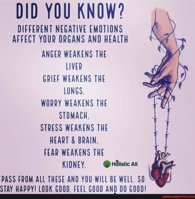 DID YOU KNOW? DIFFERENT NEGATIVE EMOTIONS AFFECT YOUR ORGANS AND HEALTH ...