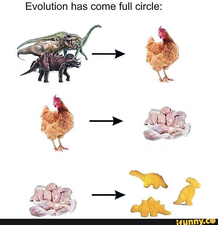 Evolution has come full circle: - iFunny