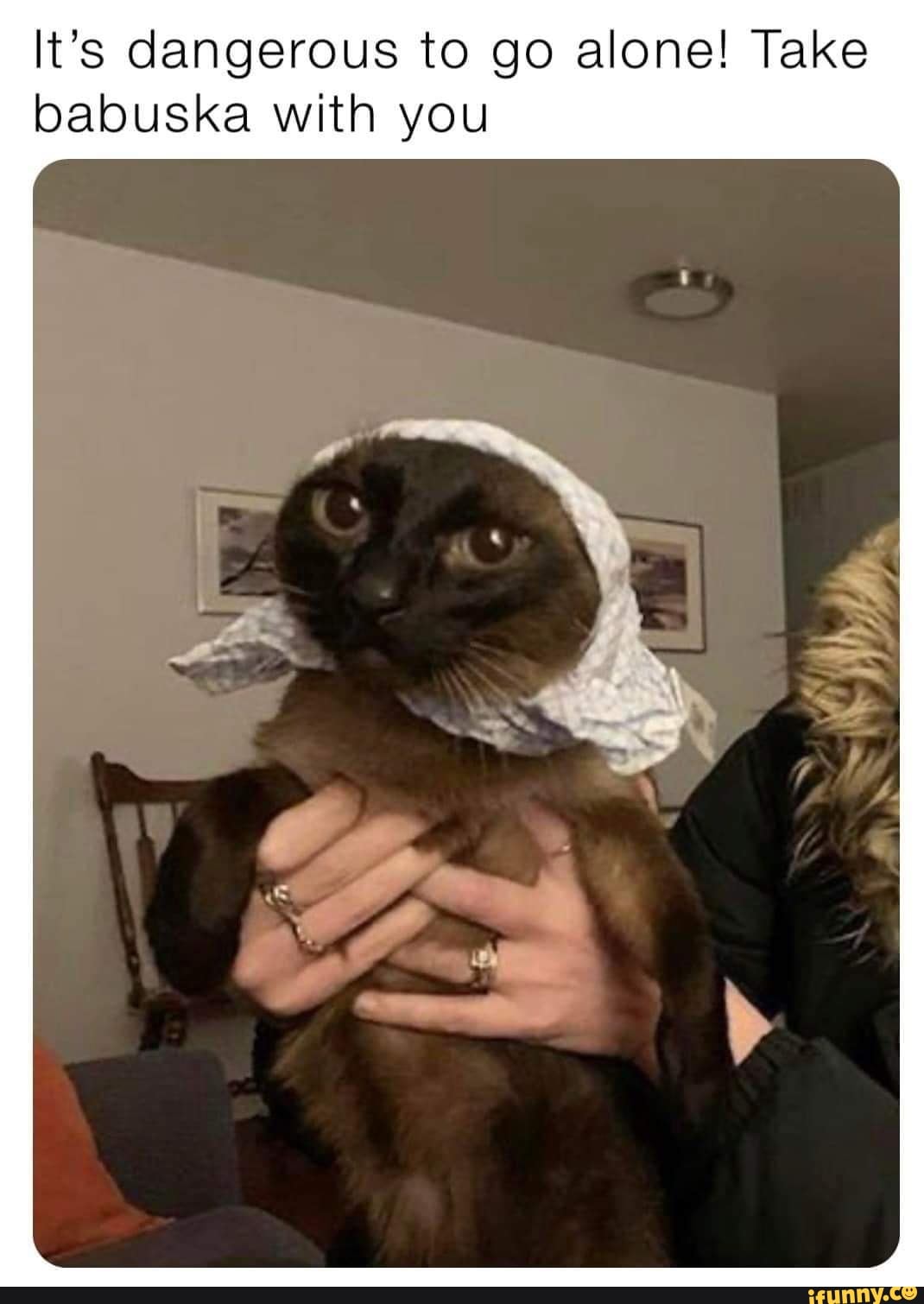 It's dangerous to go alone! Take babuska with you - iFunny