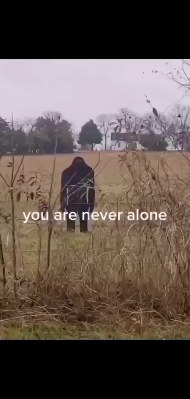 Never Alone Meme