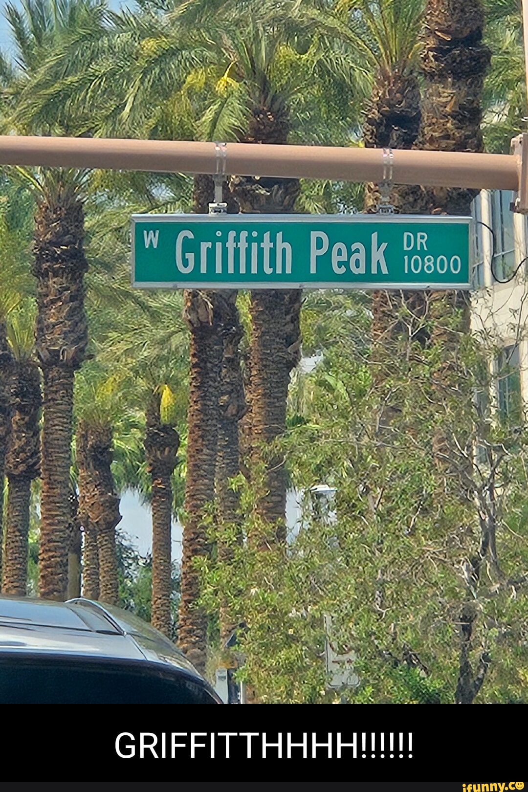 Guts memes. Best Collection of funny Guts pictures on iFunny