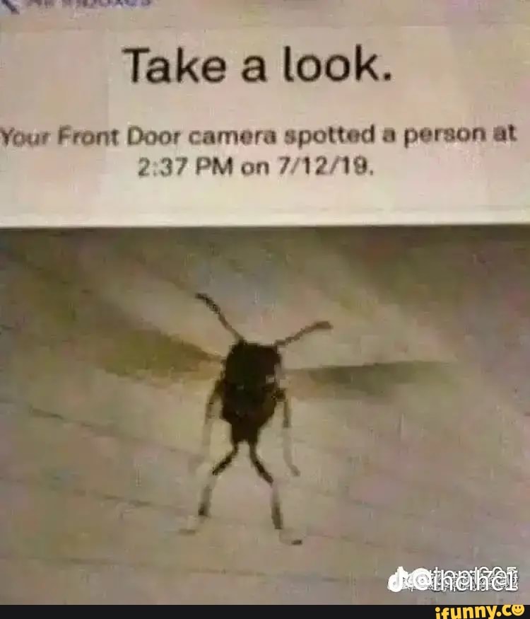 Take a look. Front Door camera spotted person at 2.37 PM on - iFunny