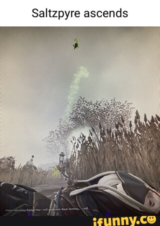 Saltzpyre memes. Best Collection of funny Saltzpyre pictures on iFunny