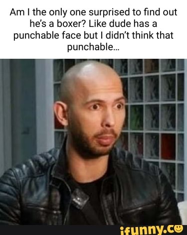 Punchable memes. Best Collection of funny Punchable pictures on iFunny