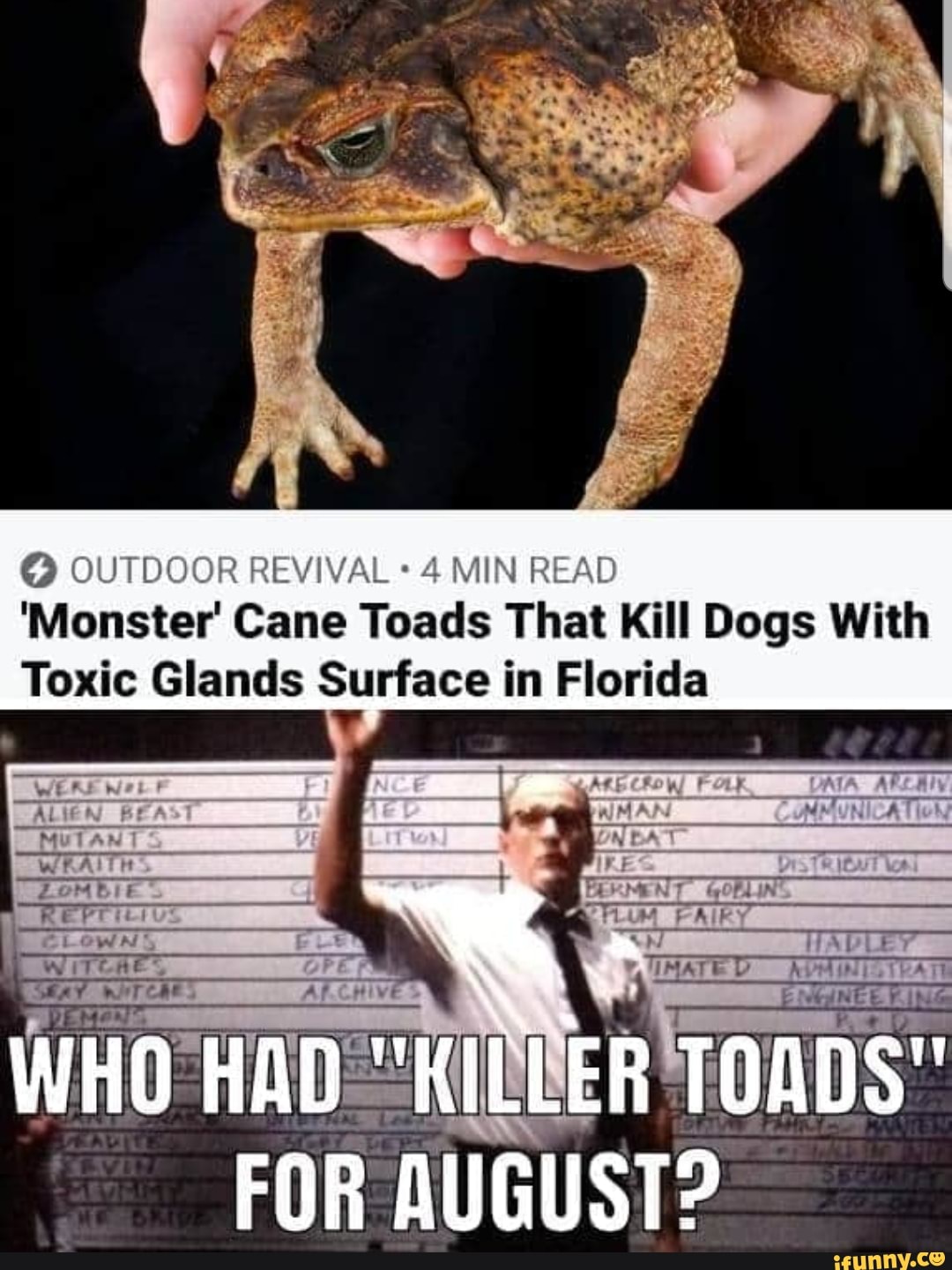 OUTDOOR REVIVAL 4 MIN READ 'Monster' Cane Toads That Kill Dogs With ...