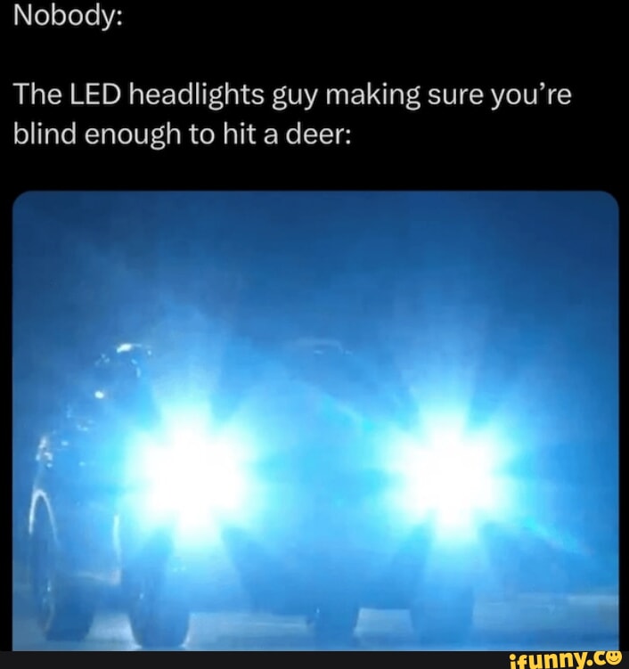 Nobody: The LED headlights guy making sure you're blind enough to hit a ...