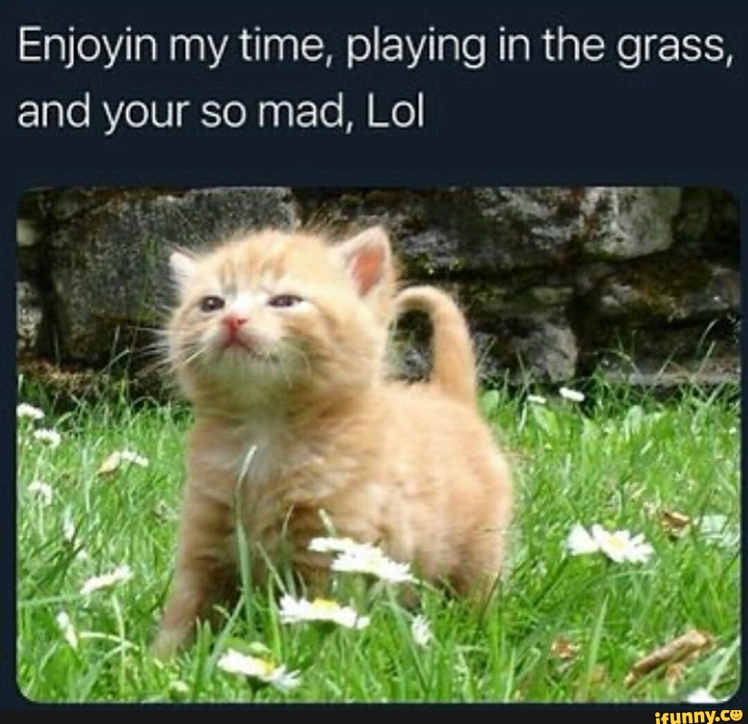 Enjoyin my time, playing in the grass, and your so mad, Lol of te - iFunny