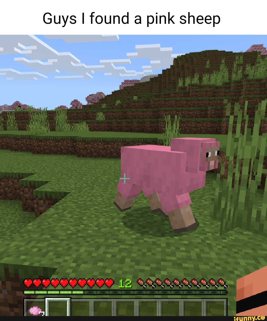 Sheep memes. Best Collection of funny Sheep pictures on iFunny