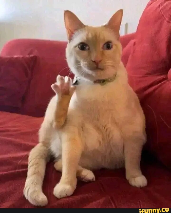 Dabloons memes. Best Collection of funny Dabloons pictures on iFunny