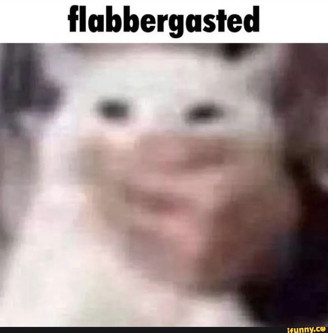 Flabbergasted memes. Best Collection of funny Flabbergasted pictures on ...