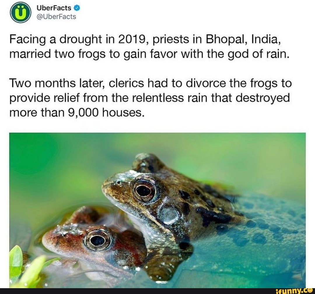 UberFacts (CU) Facing a drought in 2019, priests in Bhopal, India ...