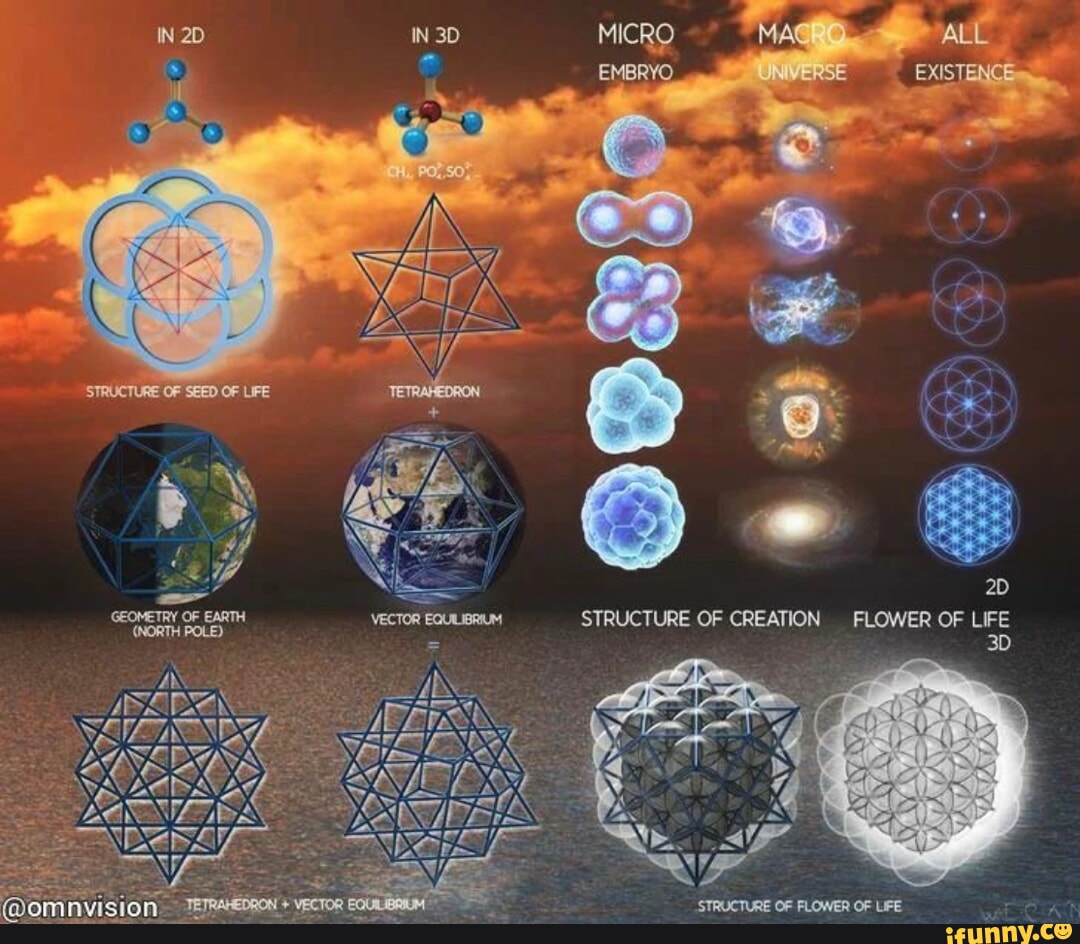 Embryo memes. Best Collection of funny Embryo pictures on iFunny