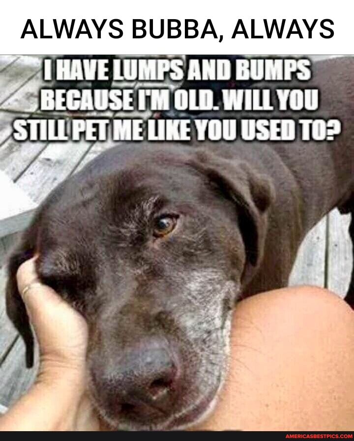 ALWAYS BUBBA, ALWAYS HAVE LUMPS AND BUMPS BECAUSE TM OLD. WILL YOU STILL PET ME LIKE YOU USED Te ...