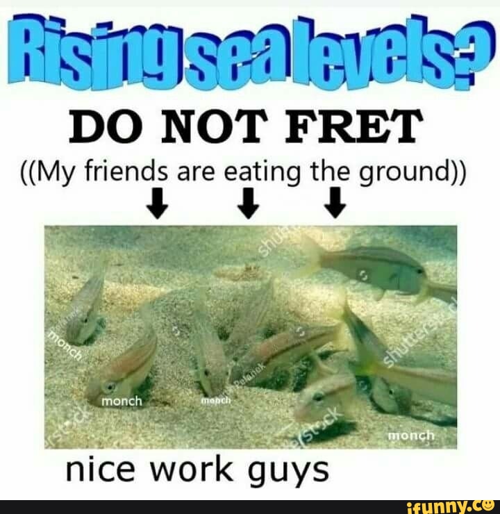 Monch memes. Best Collection of funny Monch pictures on iFunny