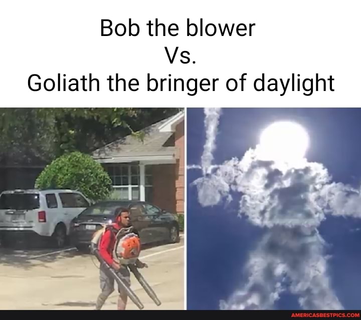 Bob the blower Vs. Goliath the bringer of daylight - America’s best ...