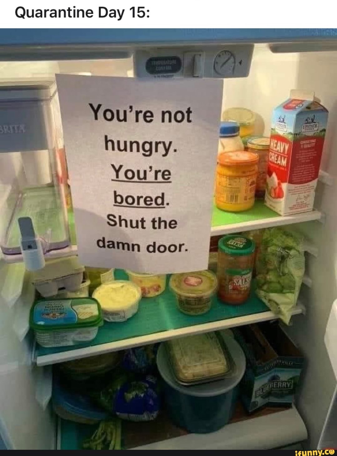 Quarantine Day 15: You're not hungry. You're bored. Shut the damn door ...