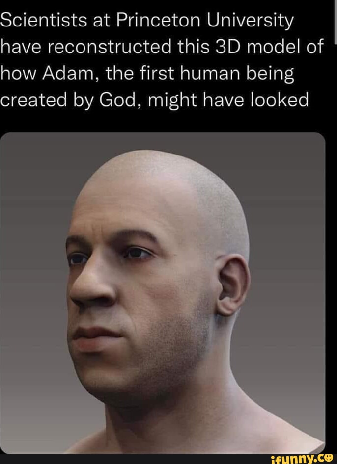 Scientists at Princeton University have reconstructed this model of how ...